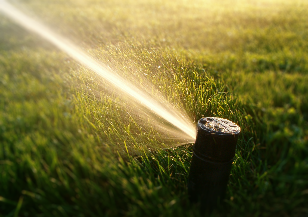 lawnphoto – Backflow Cages & Enclosures